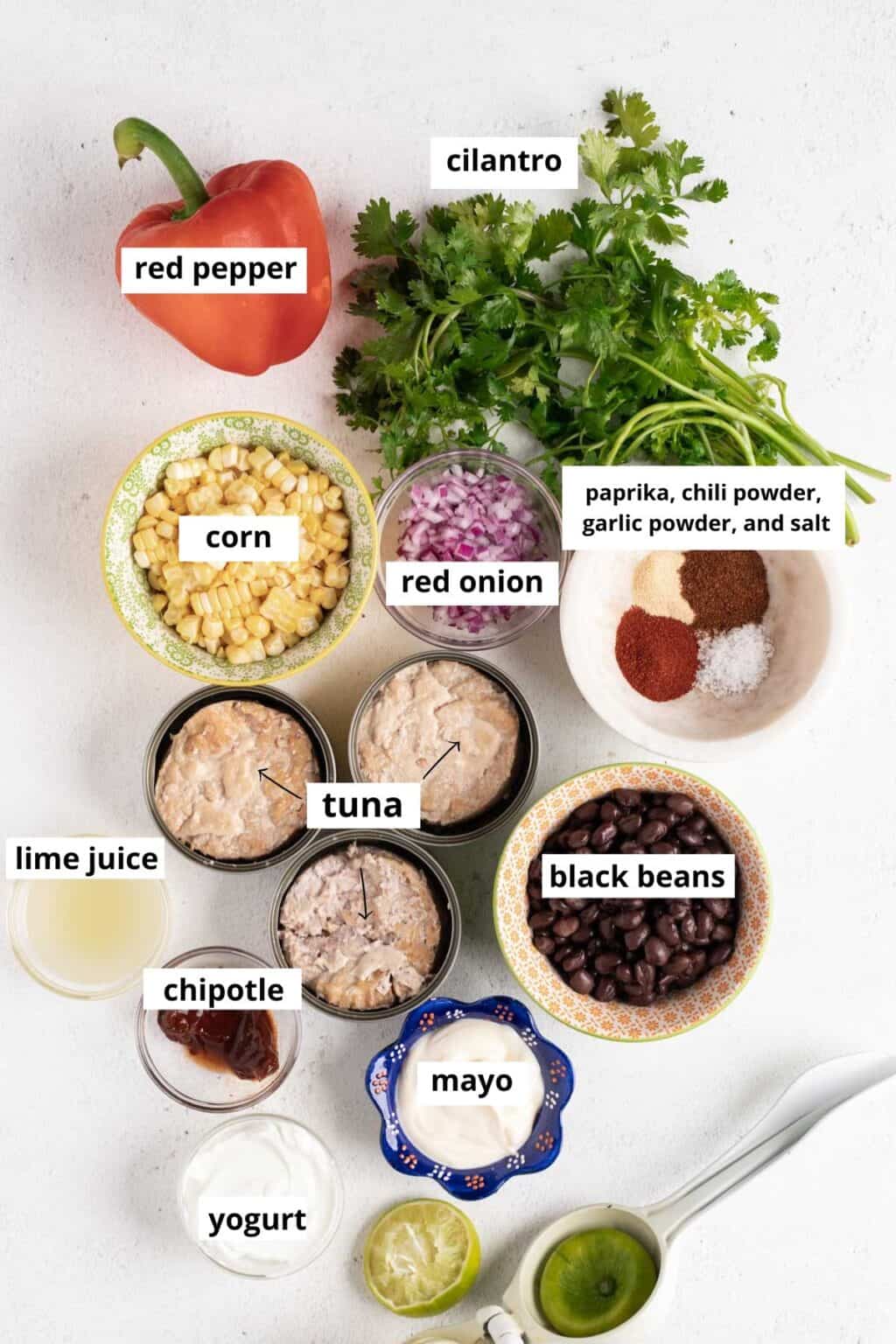 10-Minute Mexican Tuna Salad (Easy + Healthy) - The Frizzled Leek